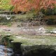 About | Thrum mill, Rothbury