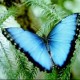 About | Peaceful Single Girl