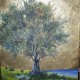 NEW POETRY BOOK RELEASED | The Dreaming Path
